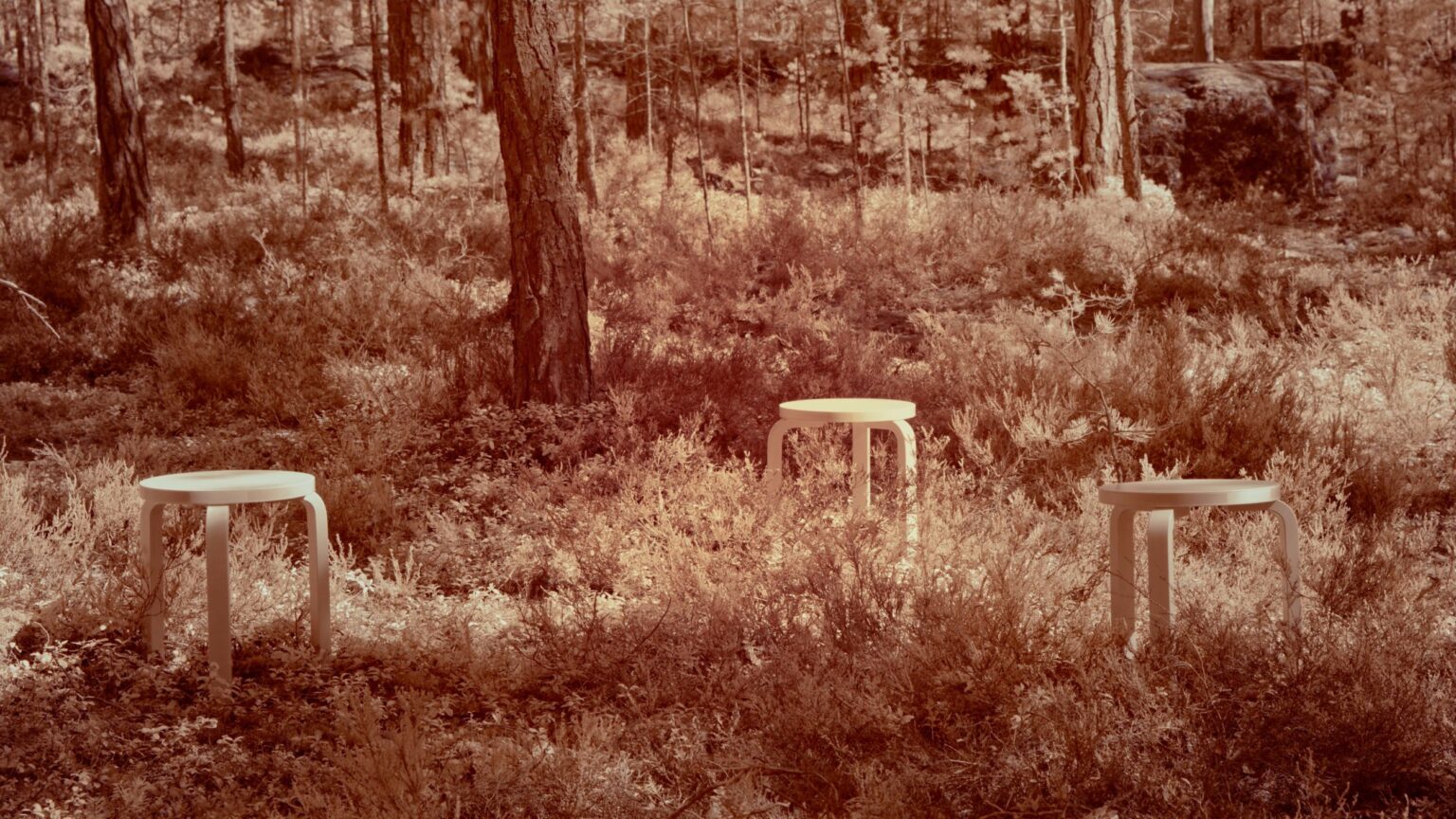 Formafantasma's Wild Birch for Artek Redefines Sustainable Design ...