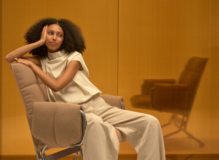 The Snap chair: Revolutionary Tool-Free Design Meets Sustainable ...